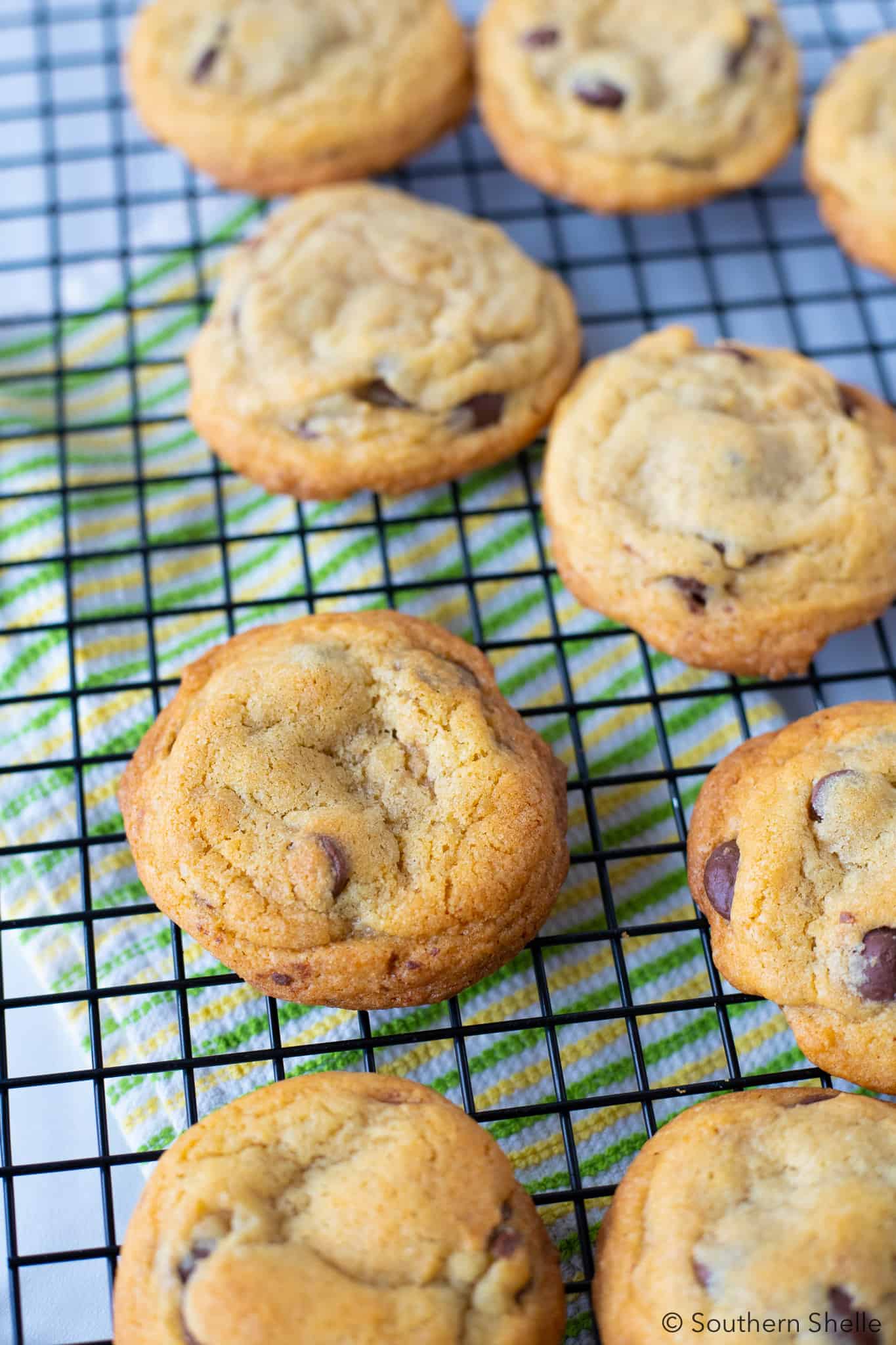 The {Great} Chocolate Chip Cookie Challenge • Southern Shelle