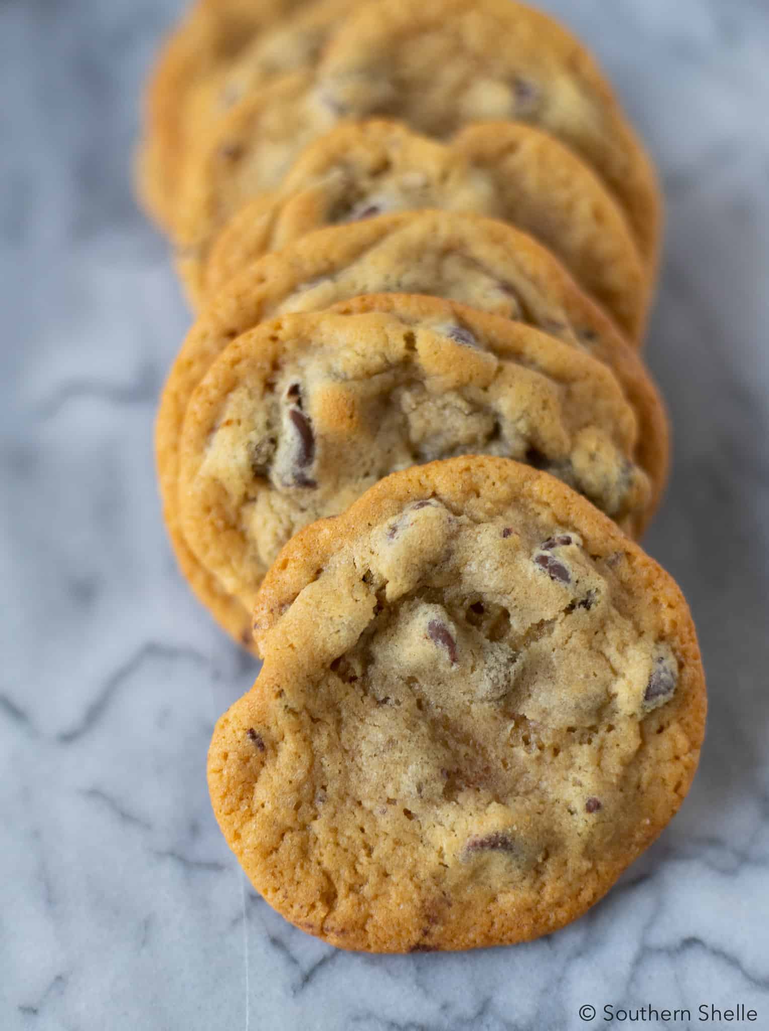 The {Great} Chocolate Chip Cookie Challenge • Southern Shelle