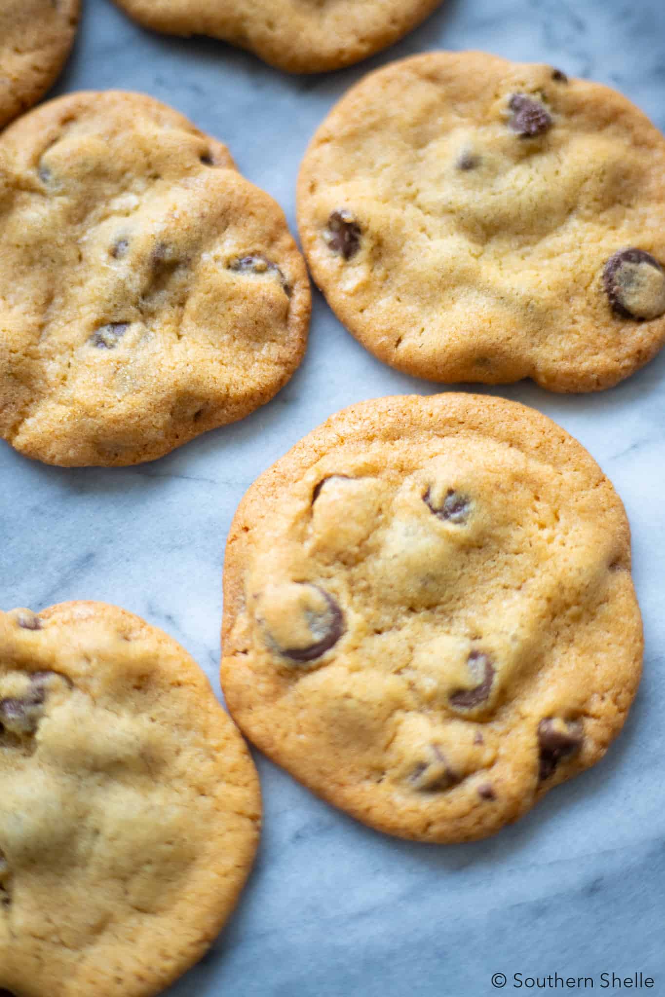 The {Great} Chocolate Chip Cookie Challenge • Southern Shelle