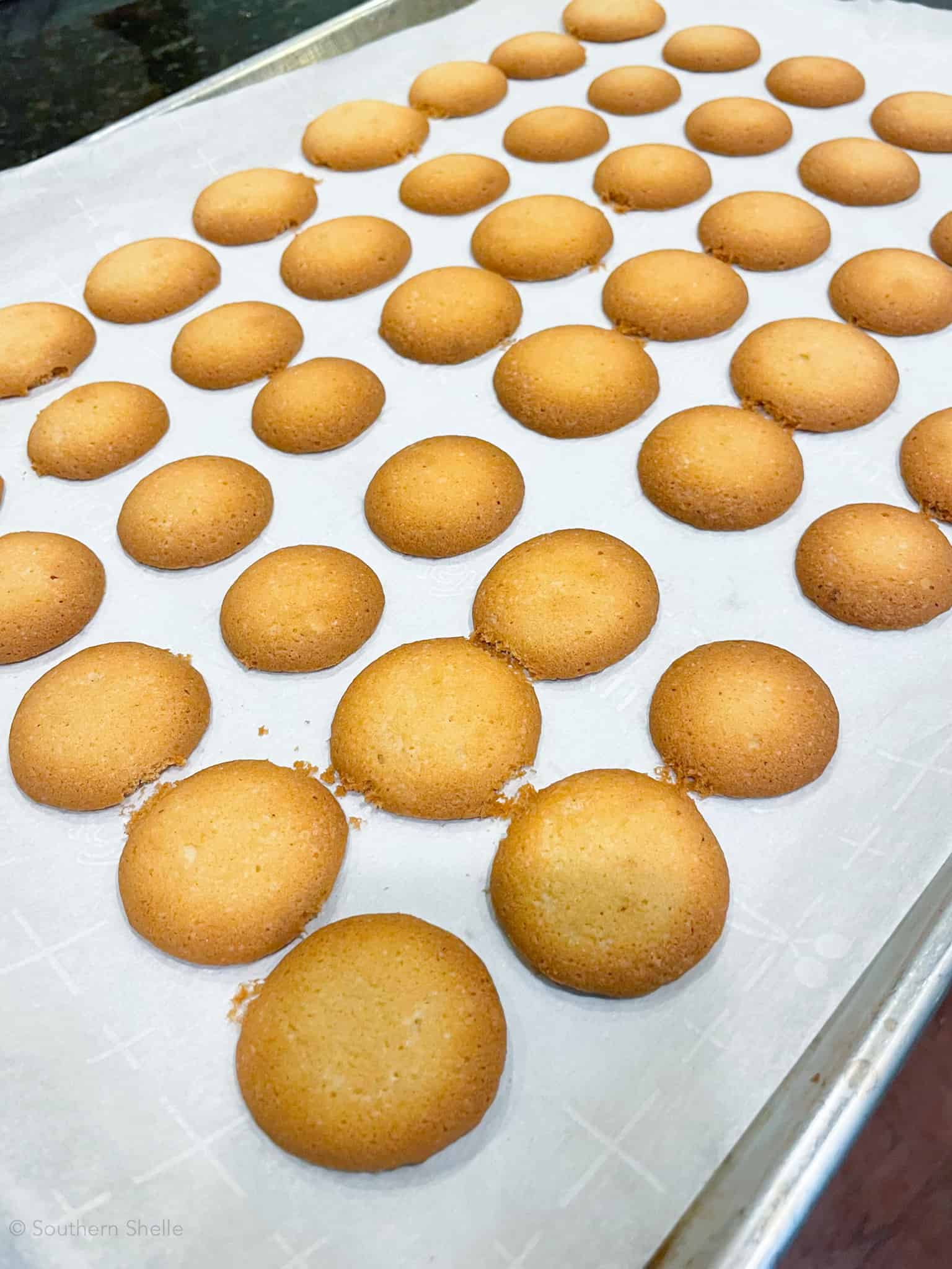 Homemade Vanilla Wafers • Southern Shelle