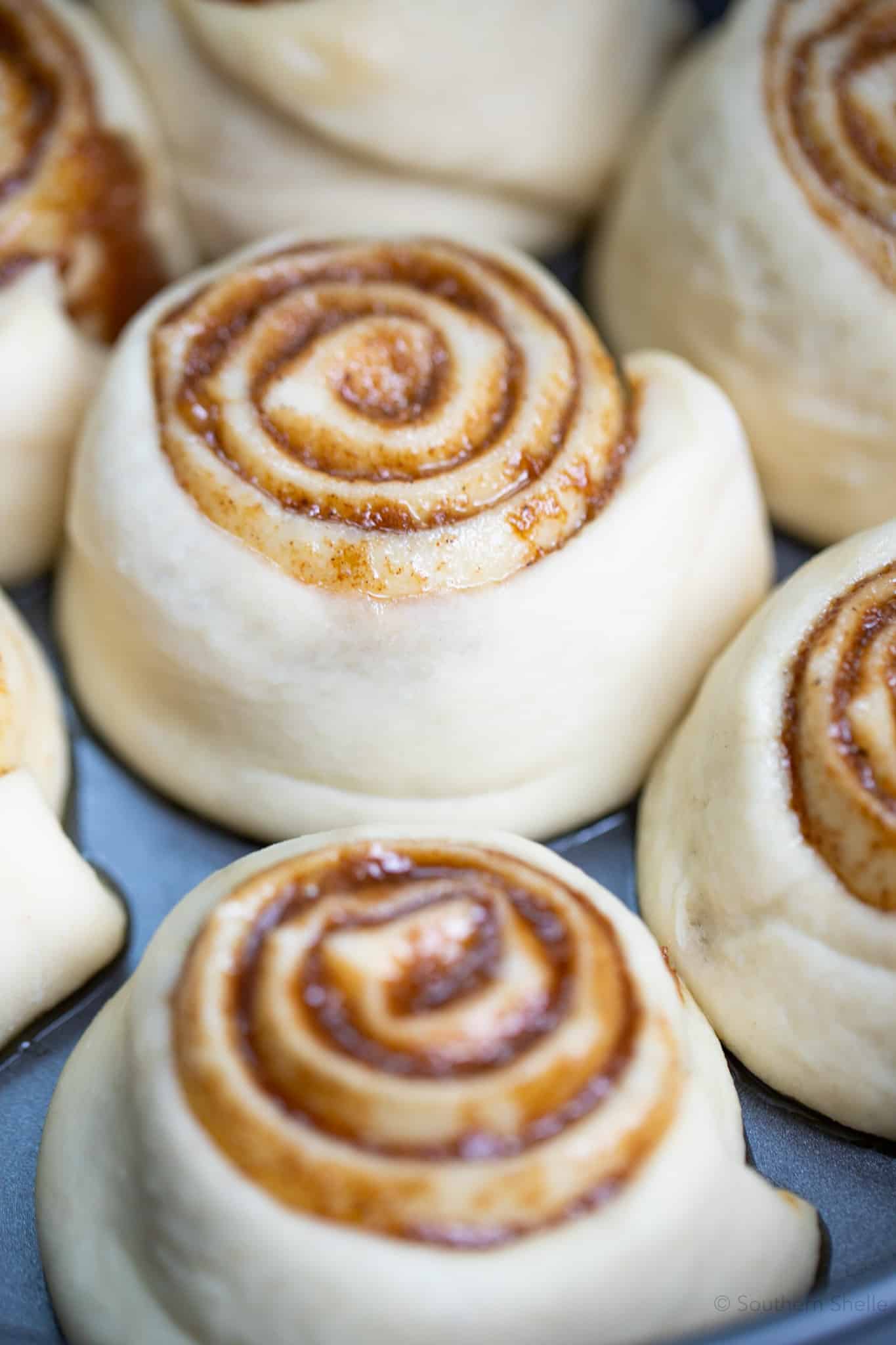 Gingerbread Rolls • Southern Shelle