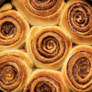 Gingerbread Cookies • Southern Shelle