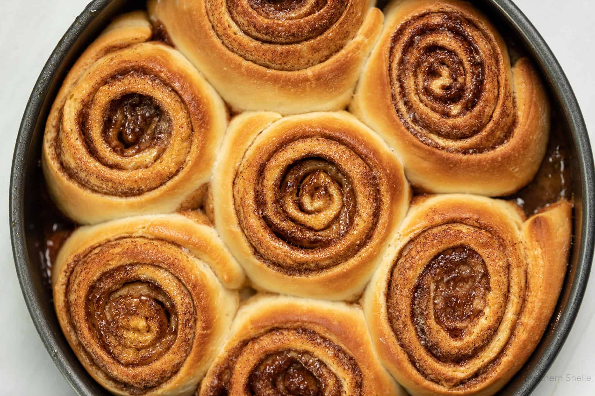 Great Gingerbread Challenge • Southern Shelle