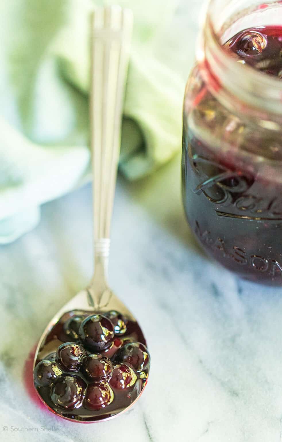 Blueberry Topping • Southern Shelle