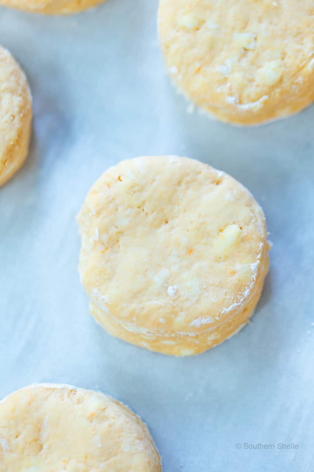 Flaky Sweet Potato Biscuits • Southern Shelle