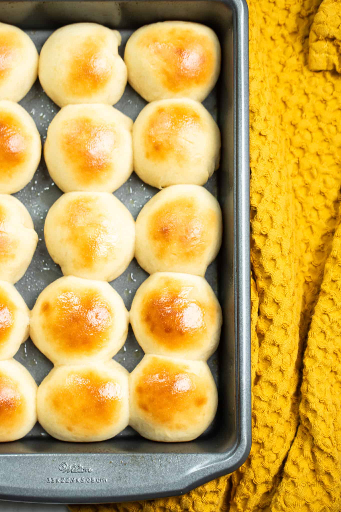 Soft Dinner Rolls • Southern Shelle