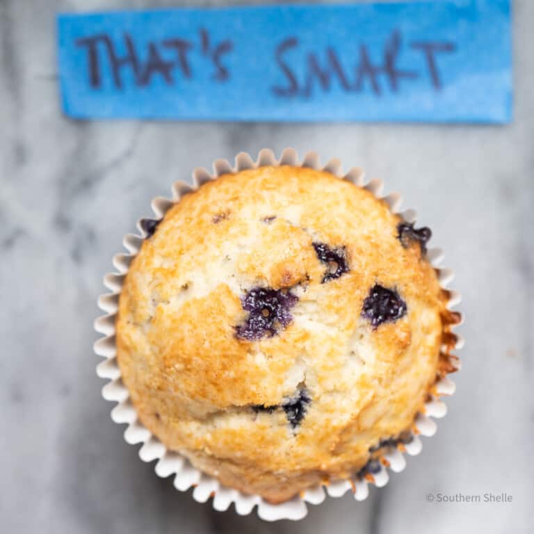 The Great Blueberry Muffin Mix Challenge • Southern Shelle